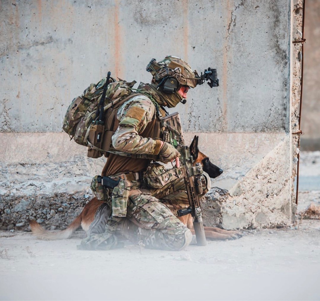 10" MK15 416 Mlok Rail | Welcome to DyTac Webshop